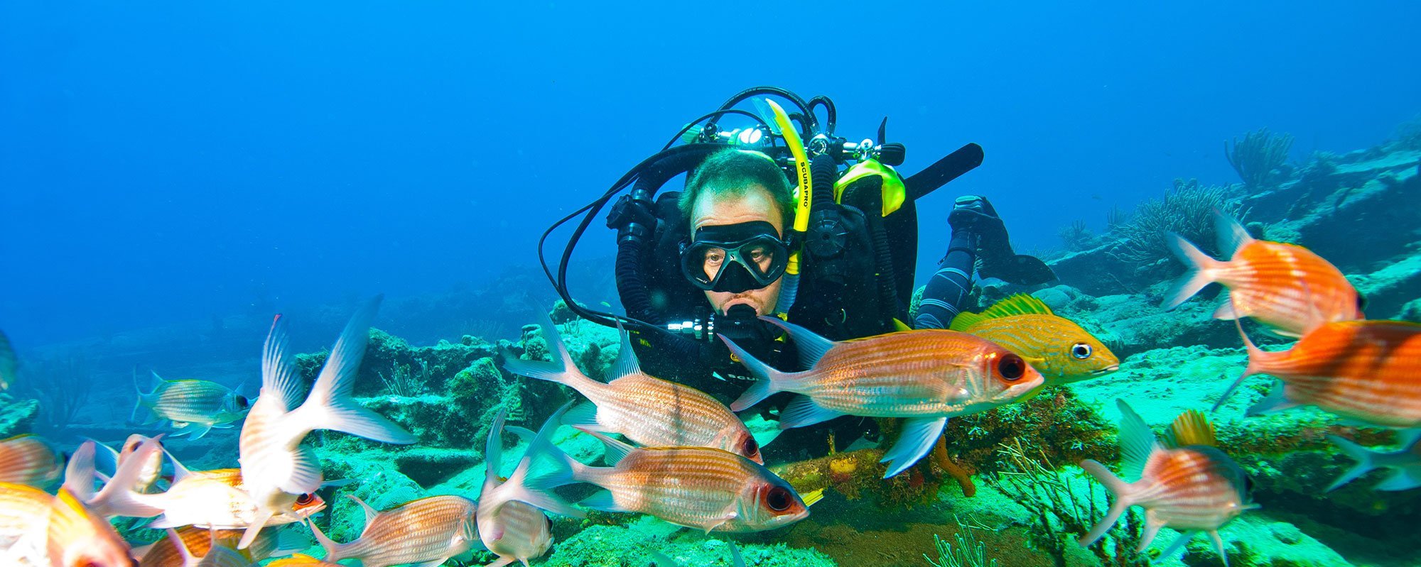 Dive BVI | Oceanfront Spas Virgin Islands | Scrub Island