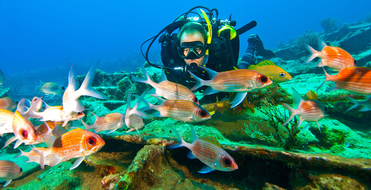 Exclusive Dive BVI Packages at Scrub Island Resort - Scrub Island